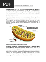 Teoria Celular y La Celula | PDF | Citoplasma | Biología Celular)