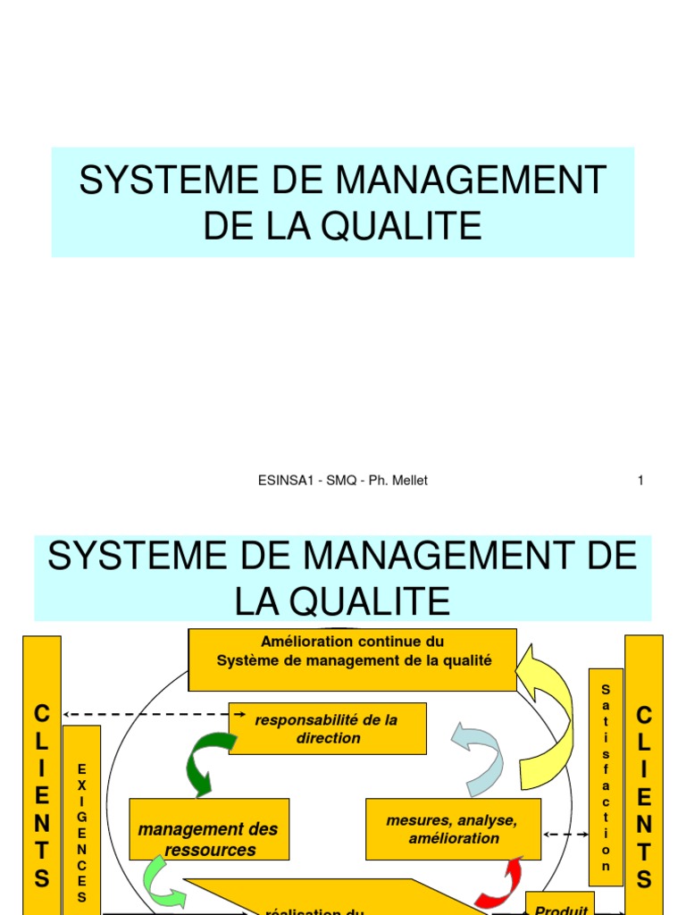 Ch4 SMQ | PDF | Management de la qualité | Système de management de la ...