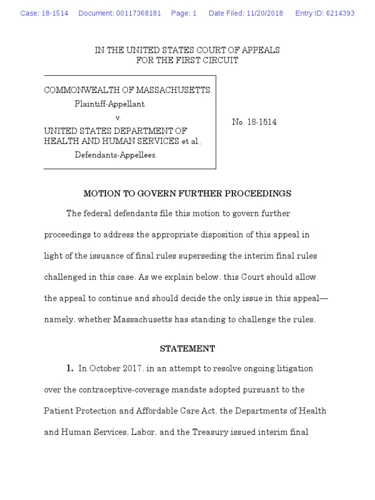 First Circuit Brief About Final Rule Next Steps | Download Free PDF ...