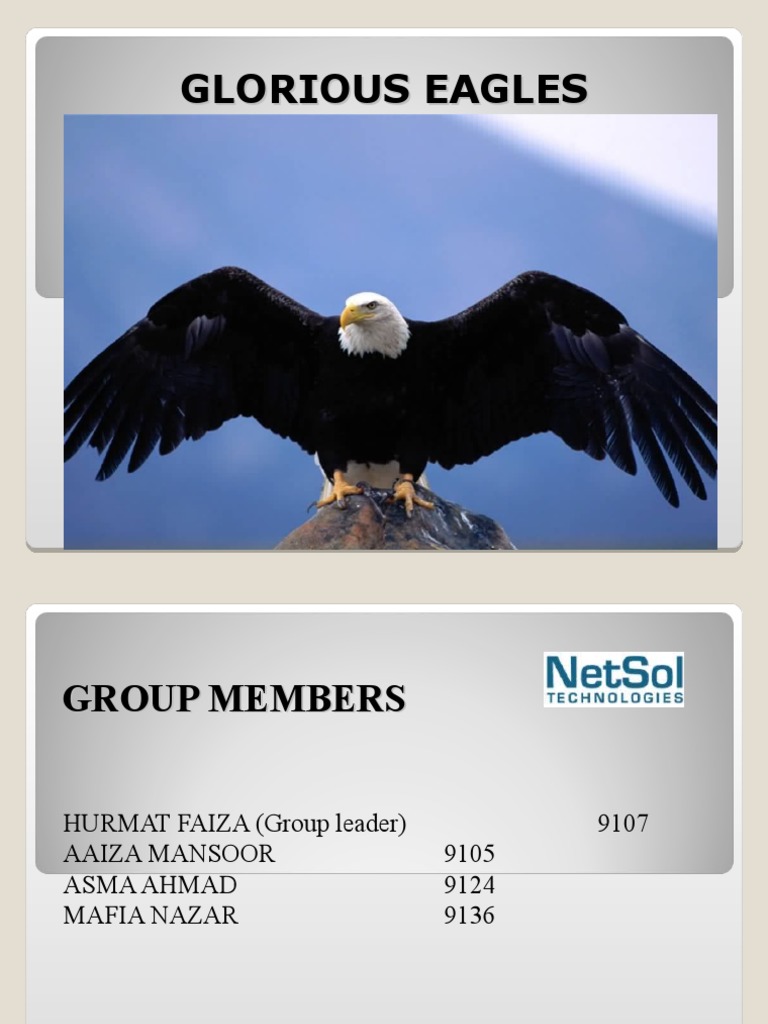 Final Project Netsol | PDF | Employment | Organizational Behavior