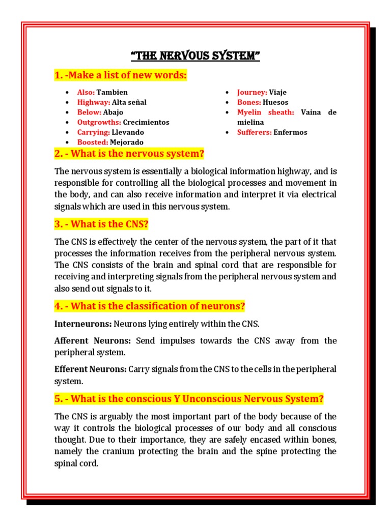"The Nervous System": 1. - Make A List of New Words | PDF | Central ...