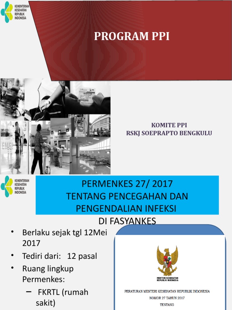Program Ppi Komite Ppi | PDF