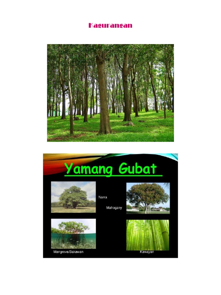 Yamang Gubat Yamang Gubat Yamang Dagat | PDF