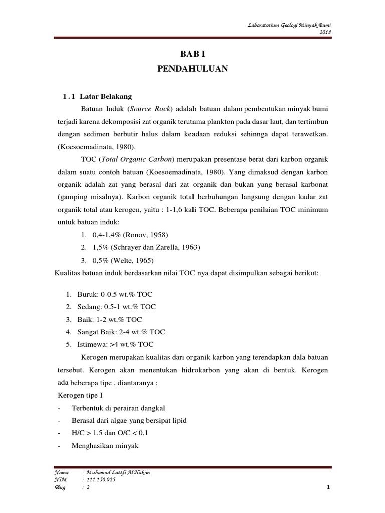 Laporan Analisa Batuan Induk | PDF