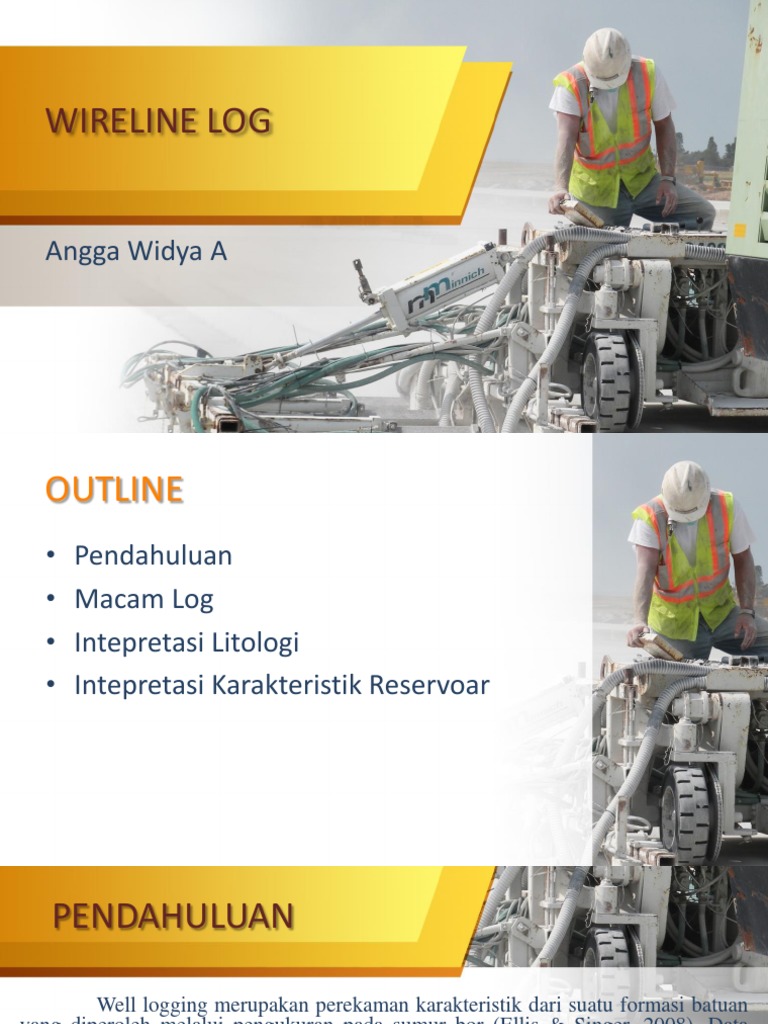 Panduan Wireline Log | PDF