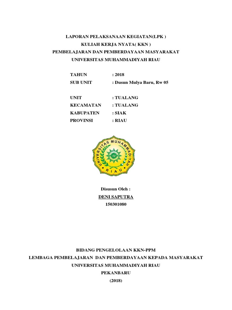 Curriculum Vitae Deni | PDF