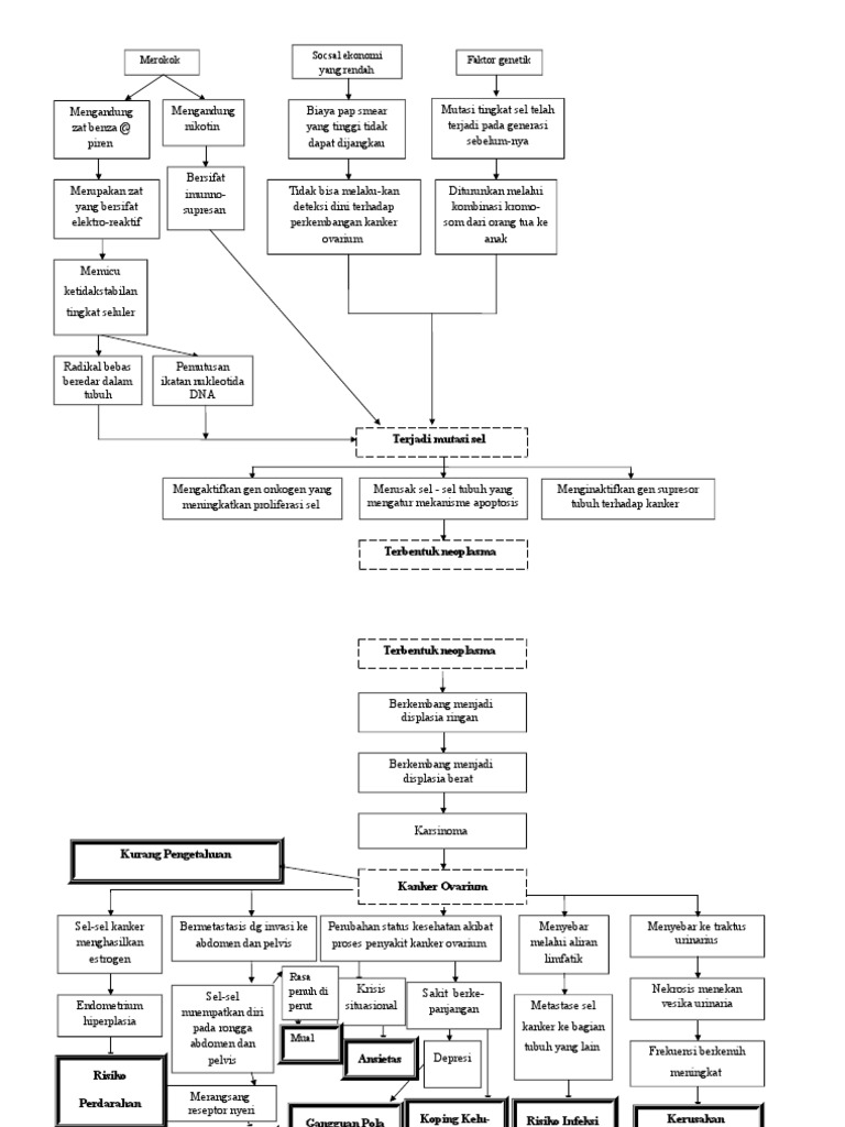 Pathway Kanker Ovarium | PDF