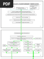 Pathophysiology of Urinary Tract Infection | PDF