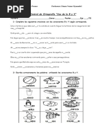 Llavero de Ortografía | PDF | Fonología | Comunicación humana