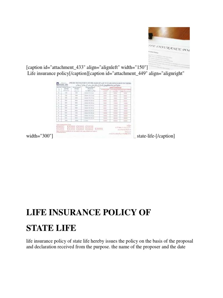 State Life Insurance Policy Overview | PDF | Insurance Policy | Life ...