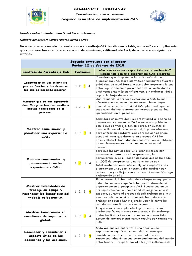 Segunda Entrevista Con Asesor - CAS | Descargar gratis PDF | Bienestar | Creatividad