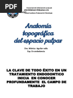 Protocolo Pulpotomia | PDF