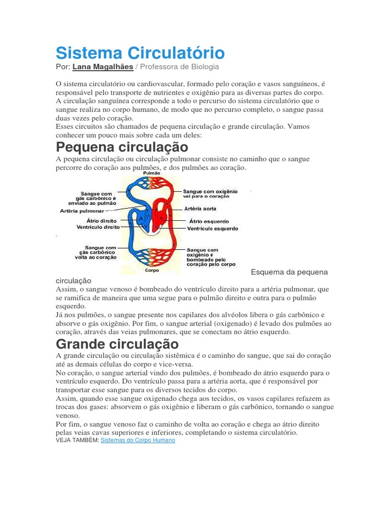 Sistema Circulatório | PDF | Sistema circulatório | Veia
