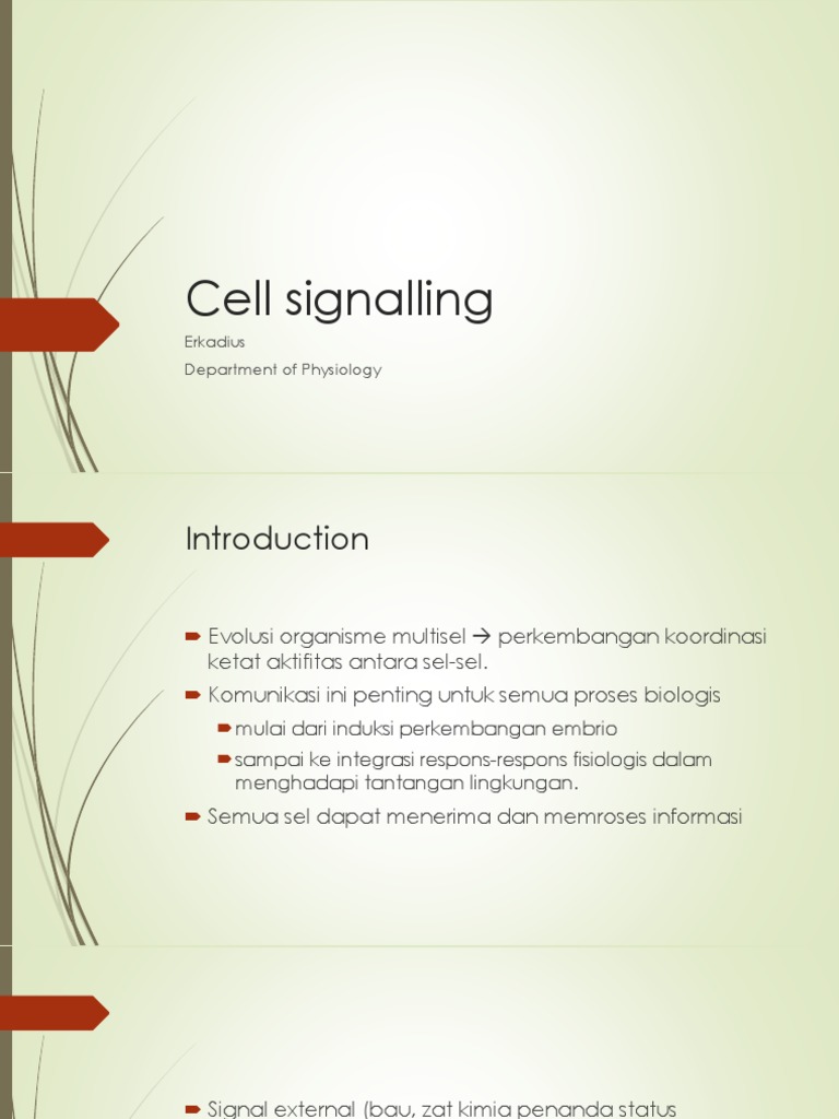 Cell Signaling | PDF