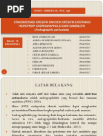 Laporan Farmakologi Rute Pemberian Obat (Repaired) | PDF | Pengembangan ...