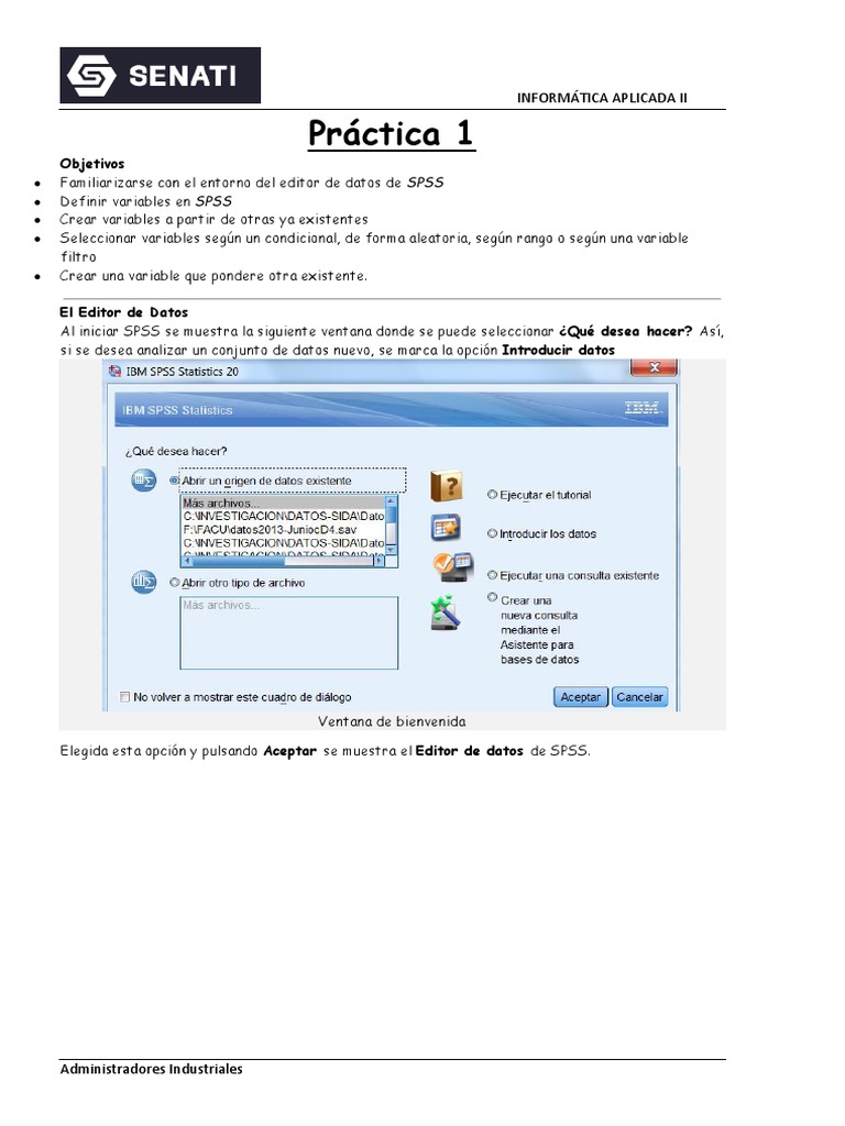 Práctica 1 - Spss | PDF | Spss | Java (lenguaje de programación)