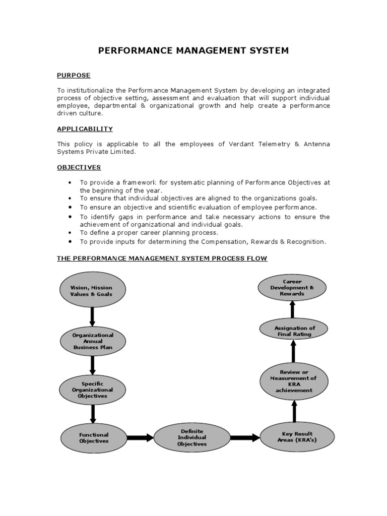 KRA-Based Performance Management Guide | PDF | Performance Management ...