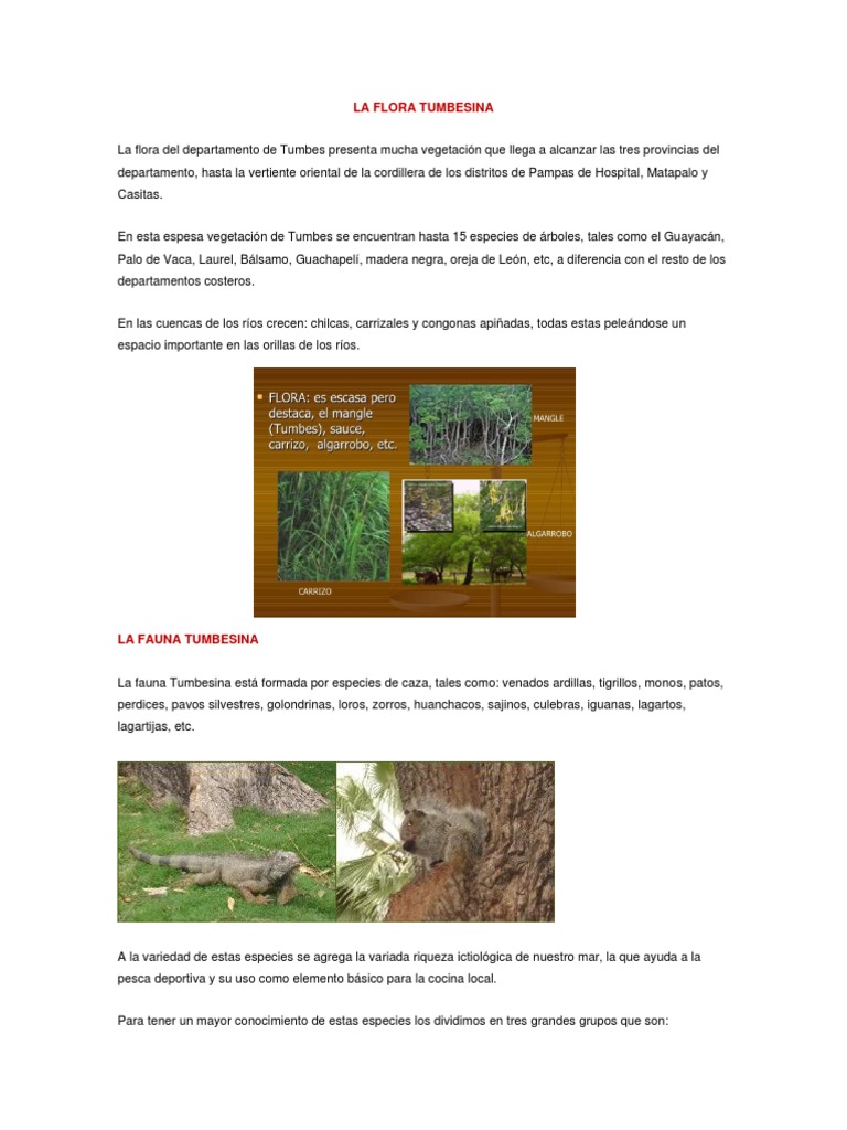 La riqueza natural de Tumbes: Un vistazo a su flora y fauna | PDF