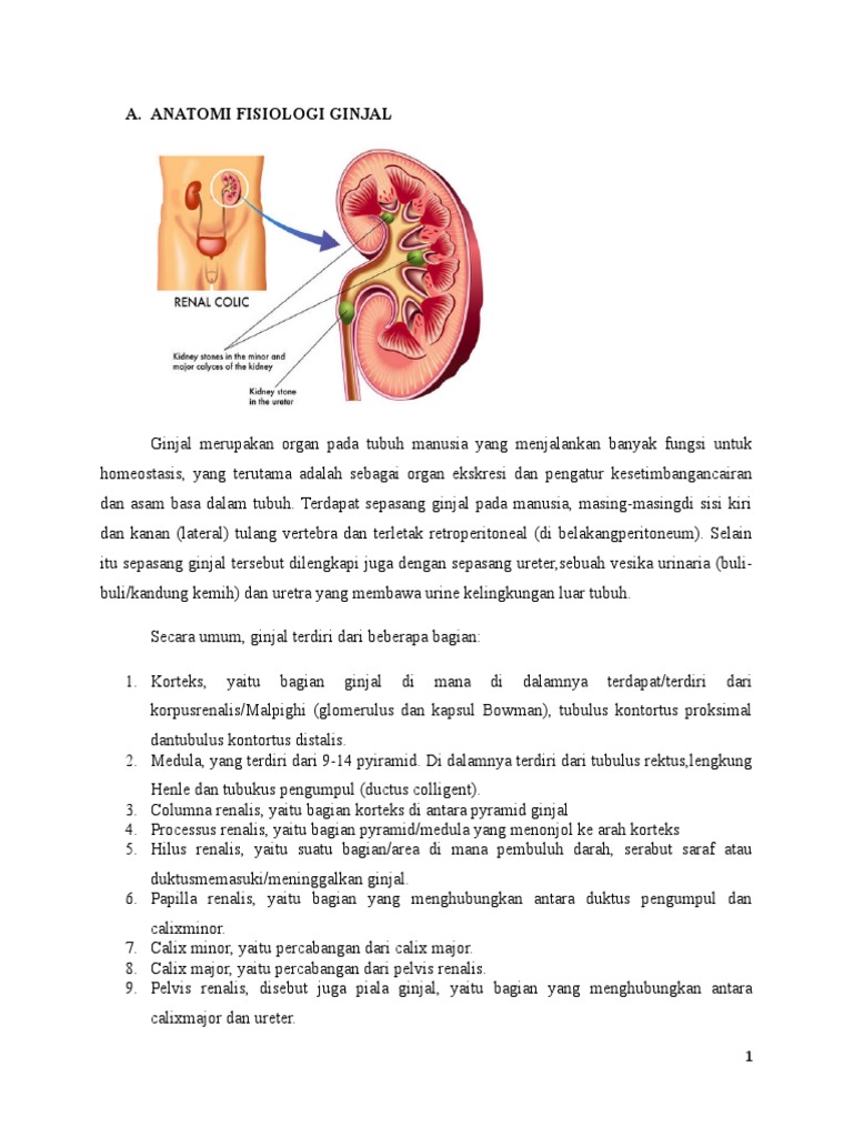 Laporan Pendahuluan Nefrolitiasis | PDF | Sains & Matematika