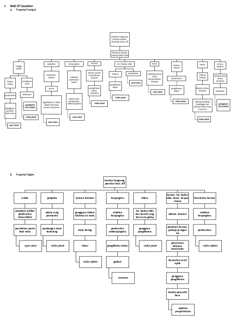 Woc Trauma Mata | PDF