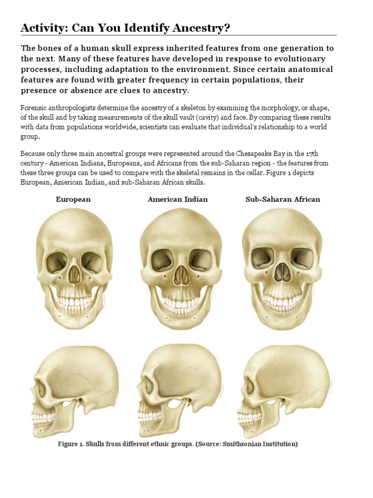 Activity: Can You Identify Ancestry?: European American Indian Sub ...