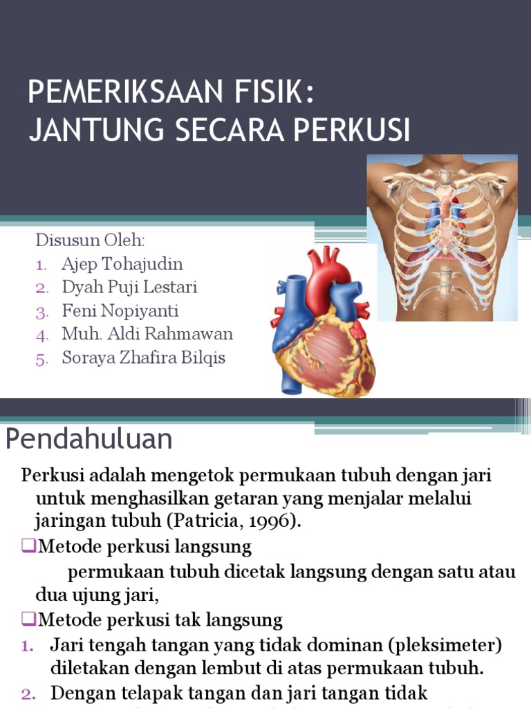 Perkusi Jantung: Metode dan Normalitas | PDF
