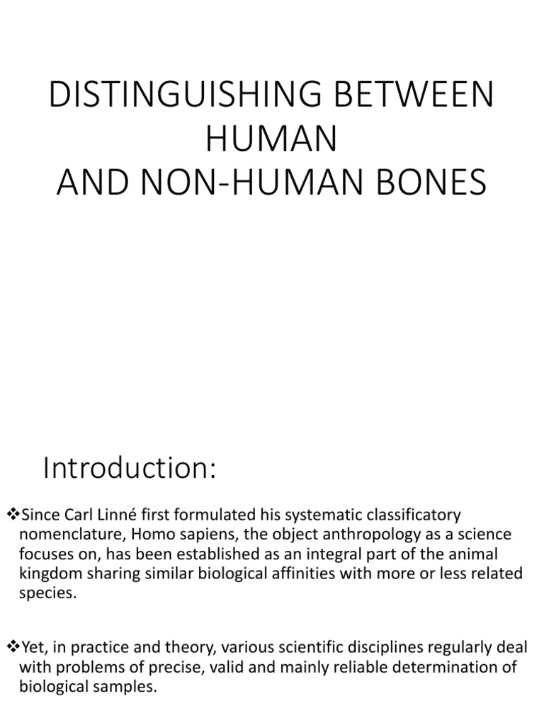 Distinguishing Between Human and Non-Human Bones | PDF | Skeleton ...