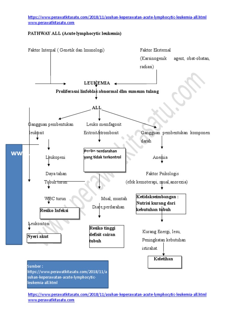 Pathway Keperawatan Leukemia Limfoblastik Akut | PDF