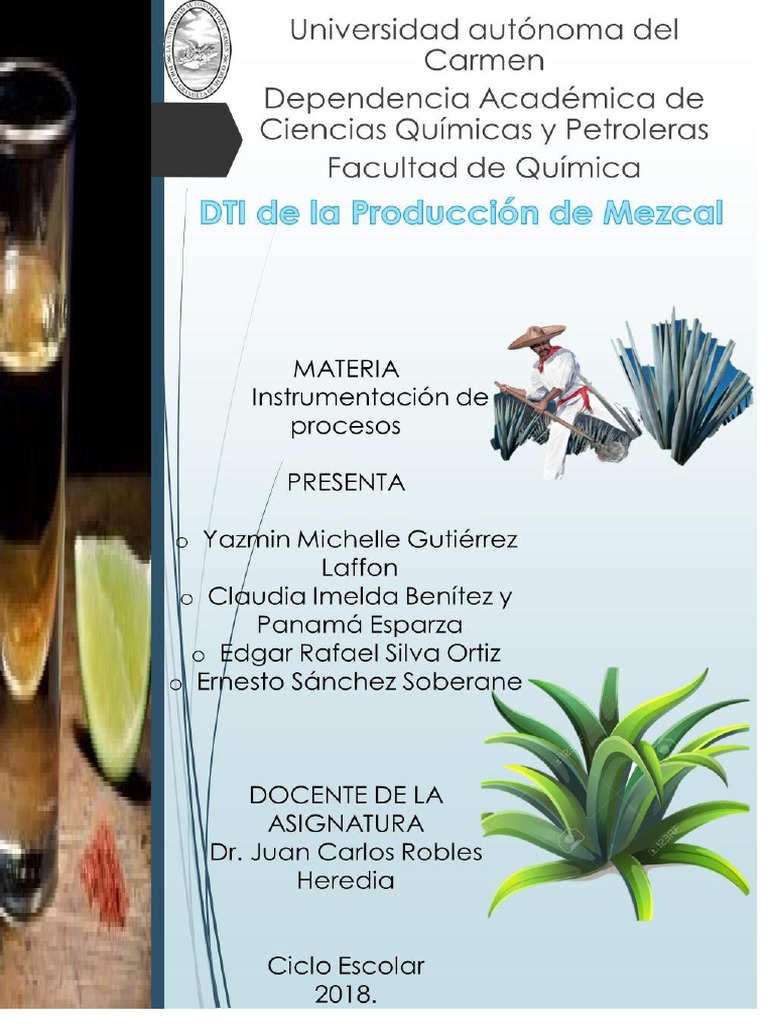 DTI de La Producción Del Mezcal | PDF | Destilación | Química