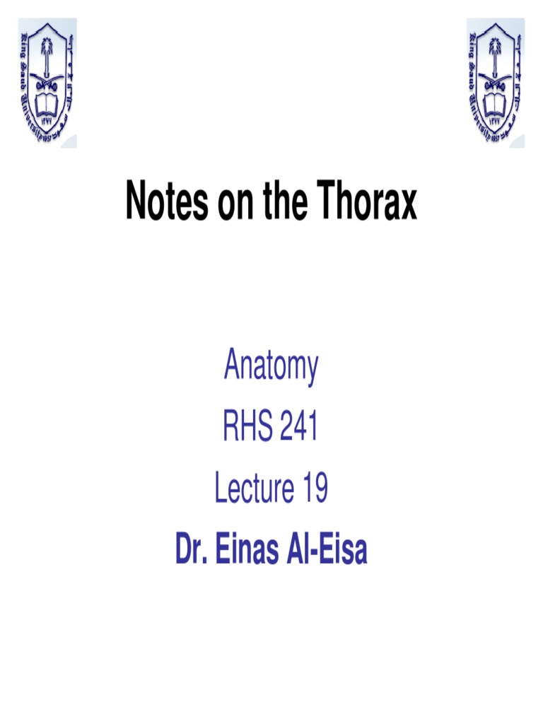 Notes On The Thorax: Anatomy RHS 241 | Download Free PDF | Lung | Thorax