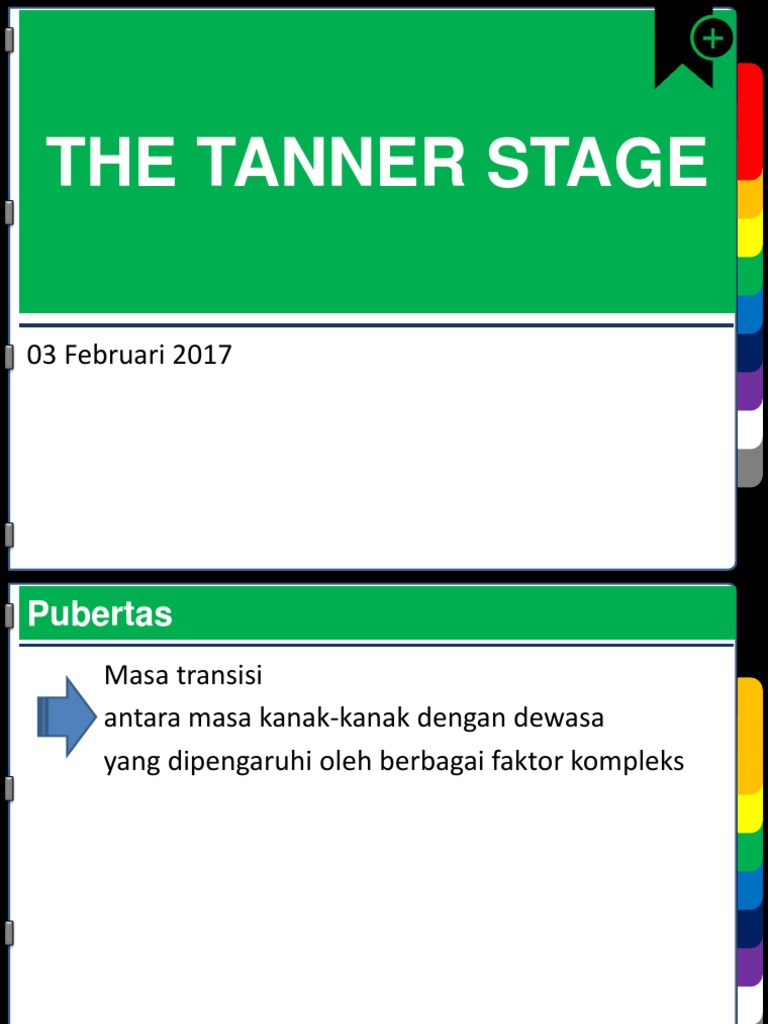 Tanner Stage. 20170202. | PDF