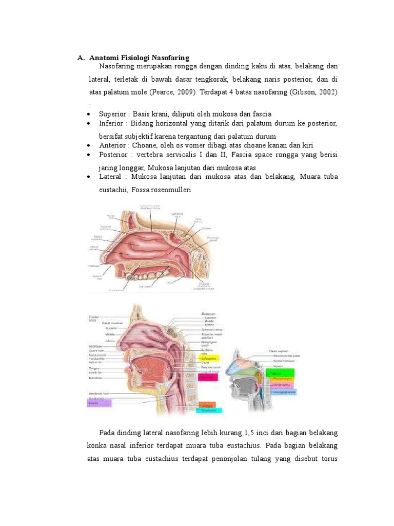 WOC CA Nasofaring | PDF