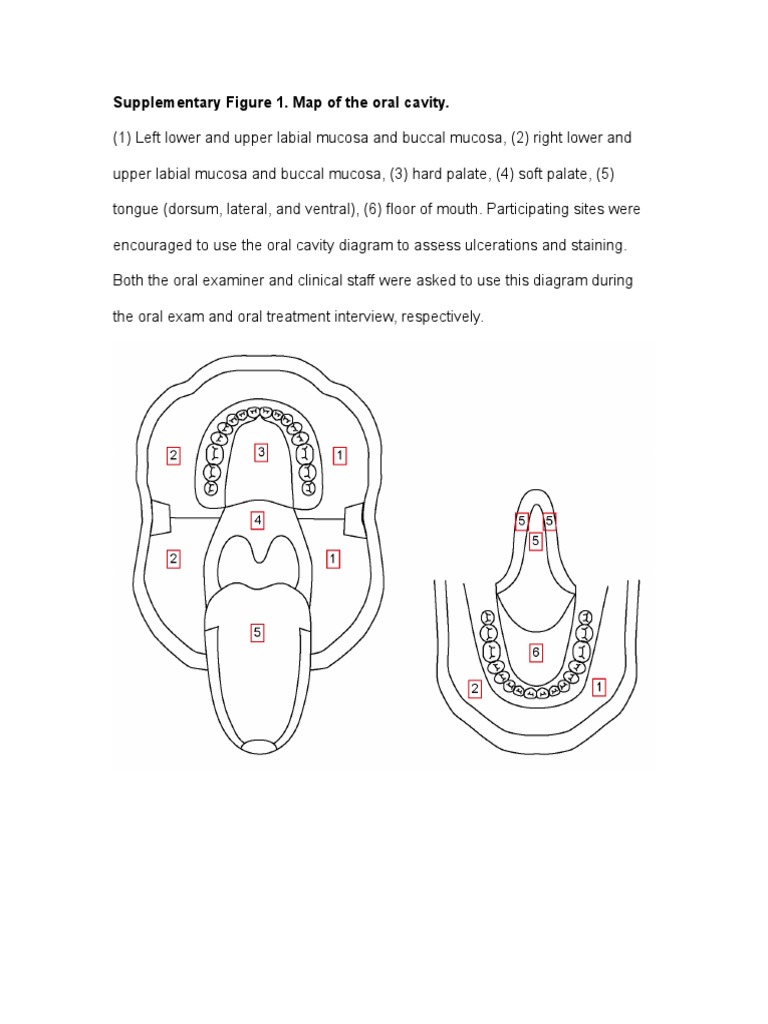 Supplementary Figure 1. Map of The Oral Cavity | PDF | Mouth | Medical ...