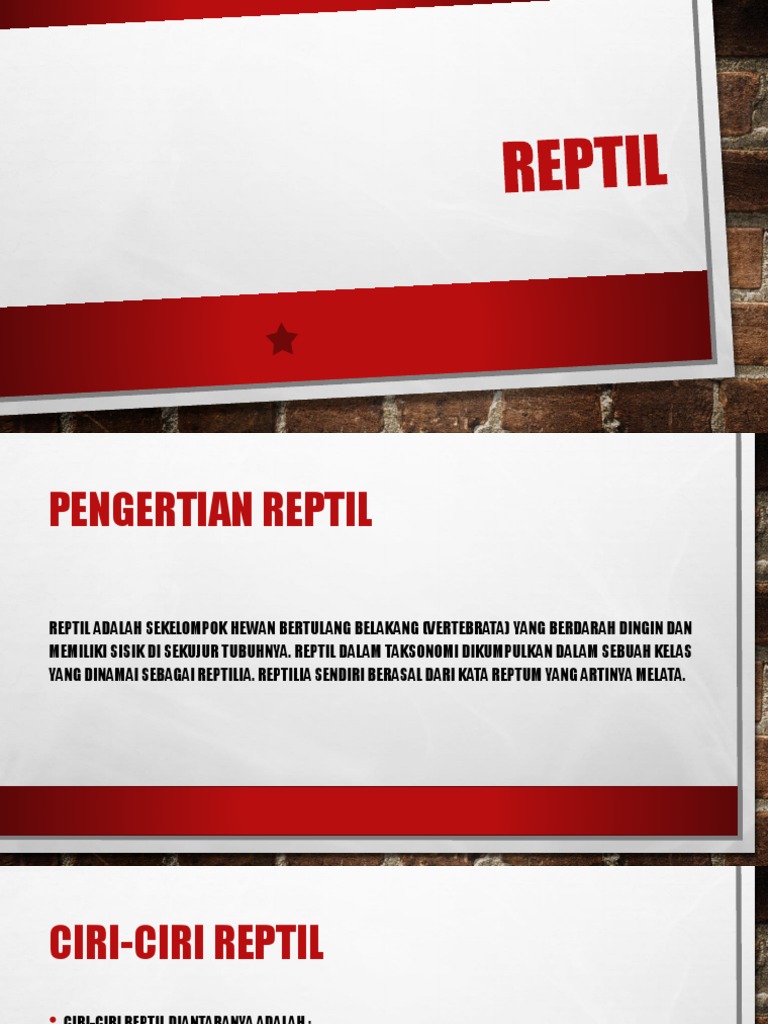 Reptil 2 | PDF