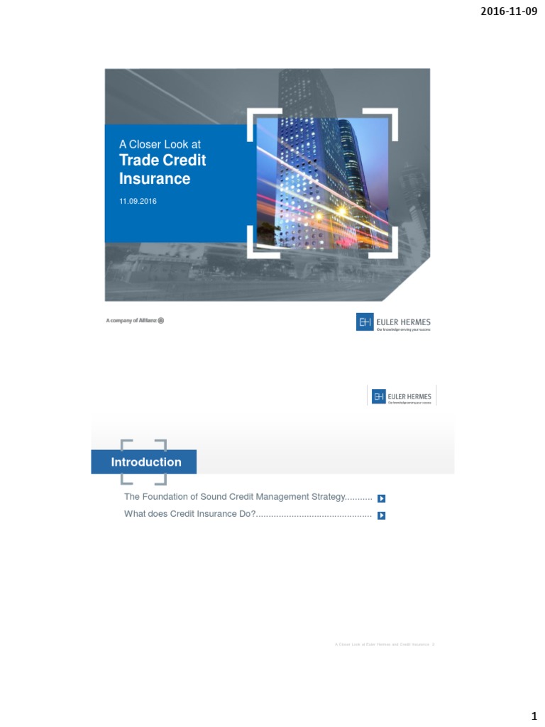 Trade Credit Insurance: A Closer Look at | PDF | Insurance | Credit