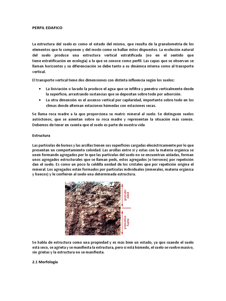 Perfil Edafico | PDF | Suelo | Roca (geología)
