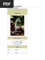 Mapana Vs Falsa Mapana | PDF | Naturaleza