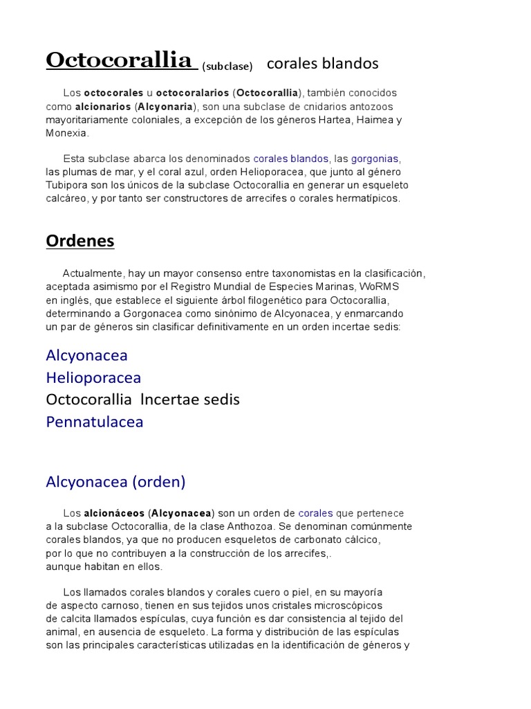 1 Suborden Alcyoniina | PDF | Animales acuáticos | Naturaleza