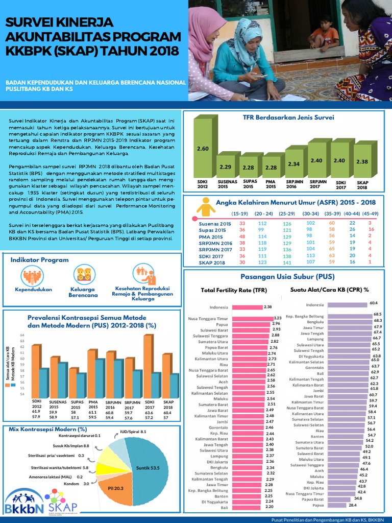 SKAP 2018 Factsheet Final | PDF