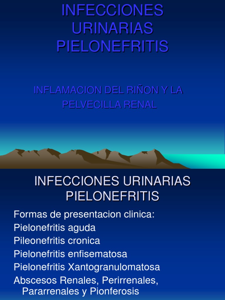 Pielonefritis: Tipos, Síntomas y Tratamiento | PDF