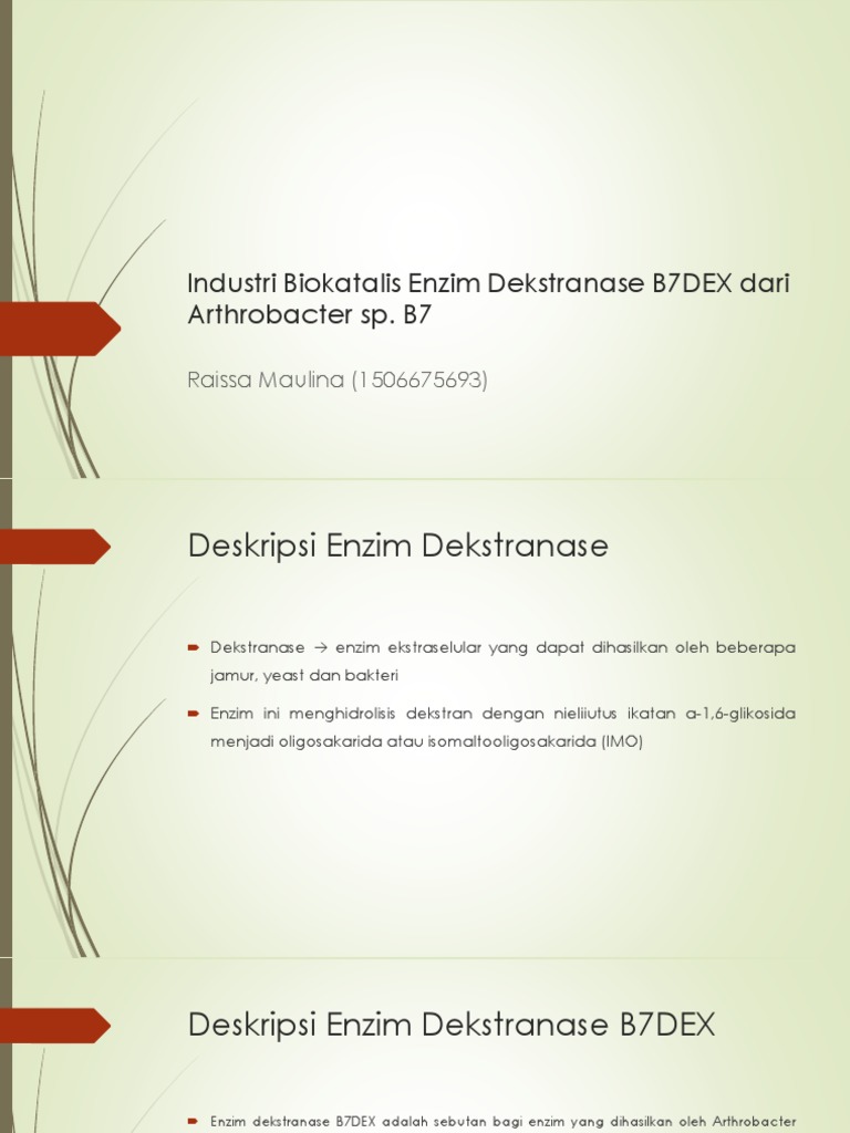 Industri Biokatalis Enzim Dekstranase - Raissa | PDF