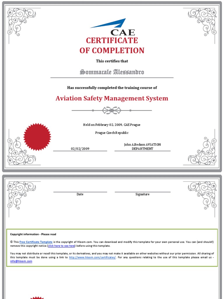 Elegant Training Completion Certificate | PDF