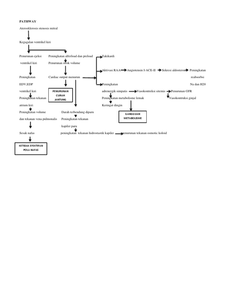PATHWAY Edema Pru | PDF
