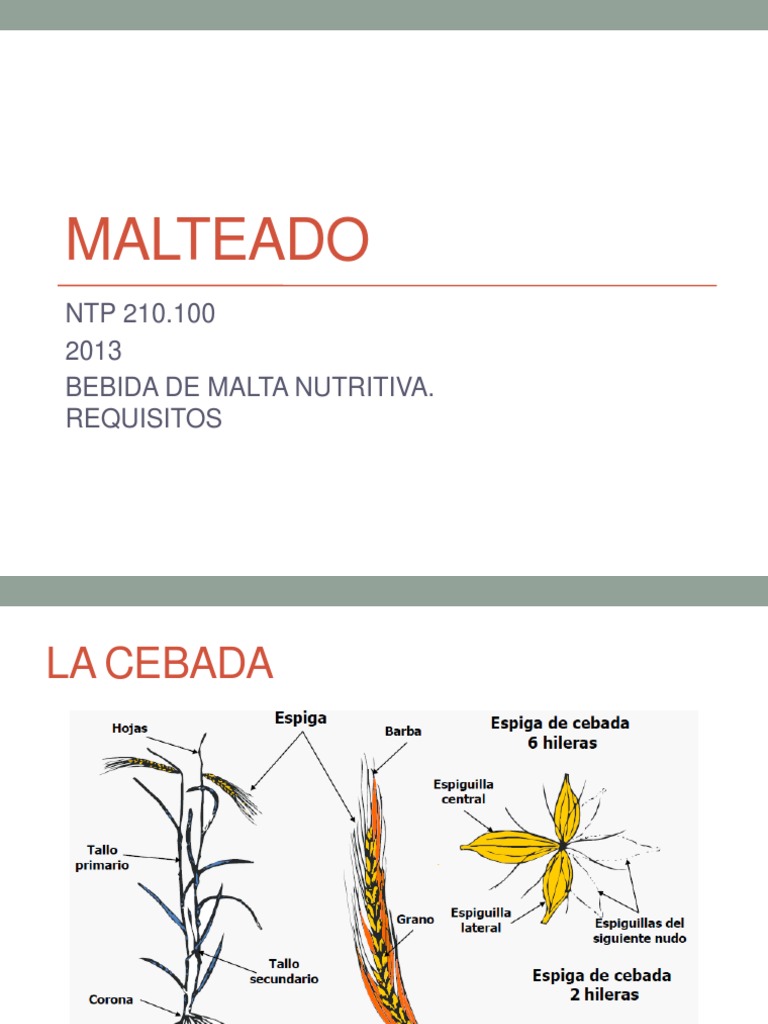 Requisitos para Bebida de Malta Nutritiva | PDF | Malta | Bebidas ...