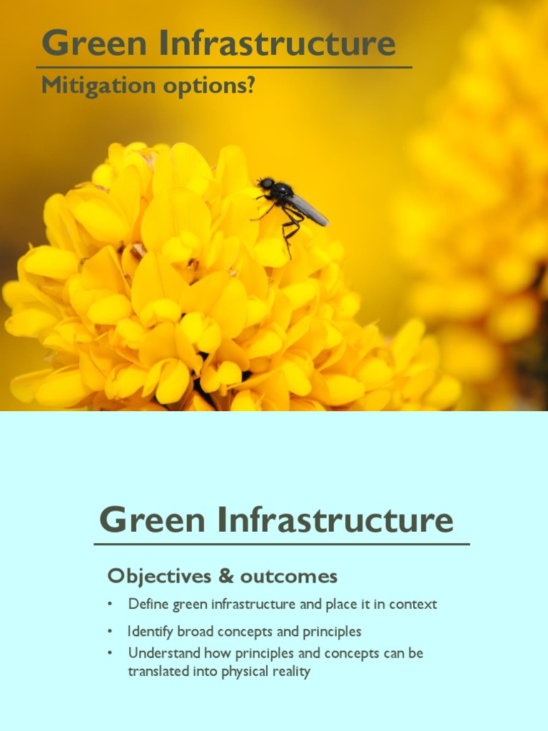 Green Infrastructure: Mitigation Options? | PDF | Green Infrastructure ...
