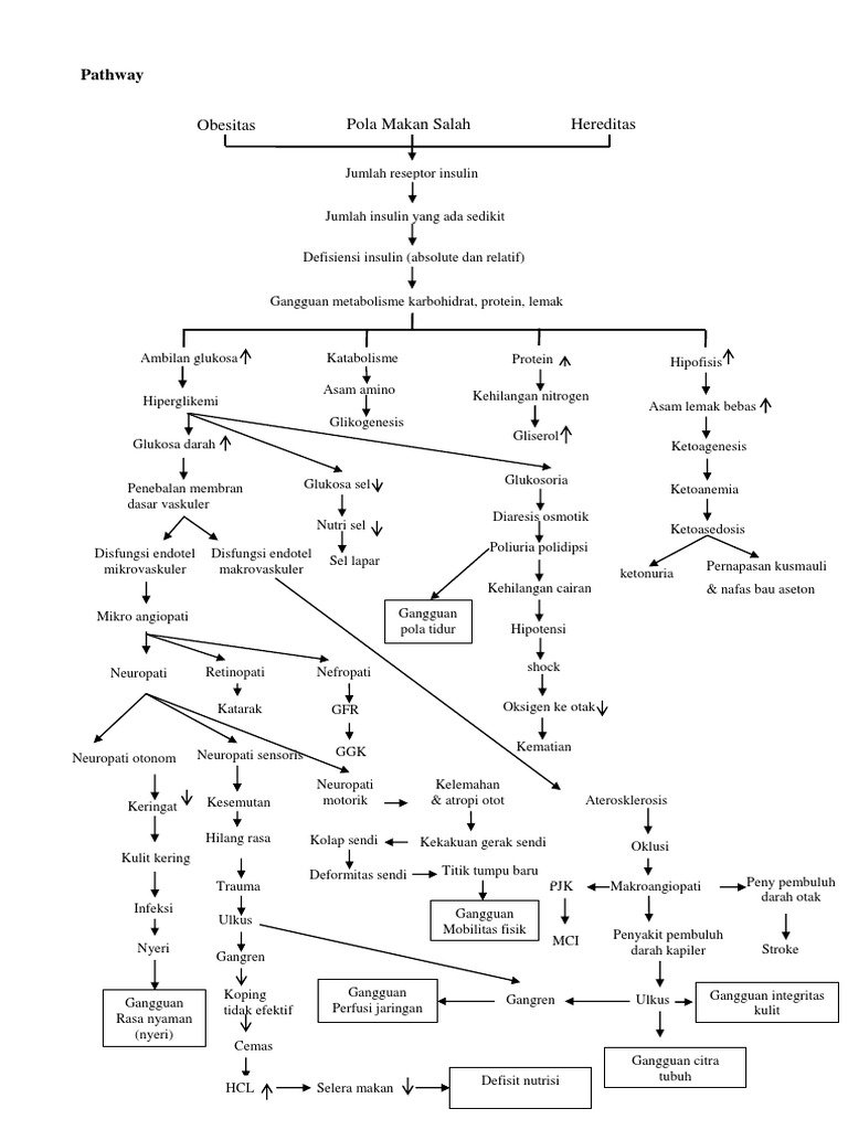 Pathophysiology of Obesity: A Comprehensive Visual Map of the Metabolic ...