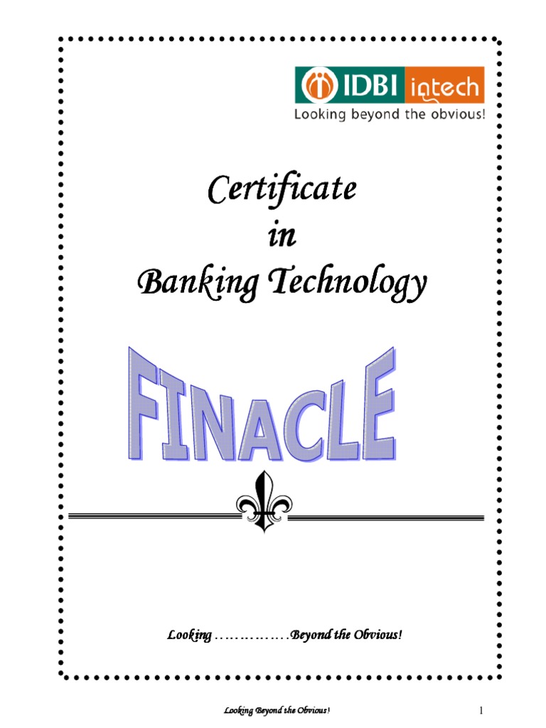 Fin | PDF | Financial Transaction | Cheque