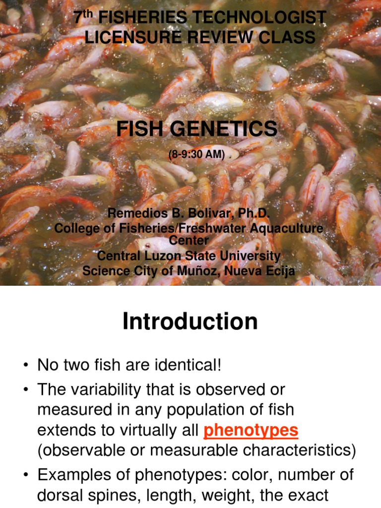 Genetic Variability in Fish Offspring | PDF | Meiosis | Ploidy