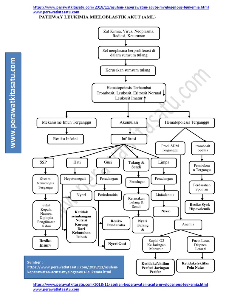 Pathway Leukimia Mieloblastik Akut | PDF