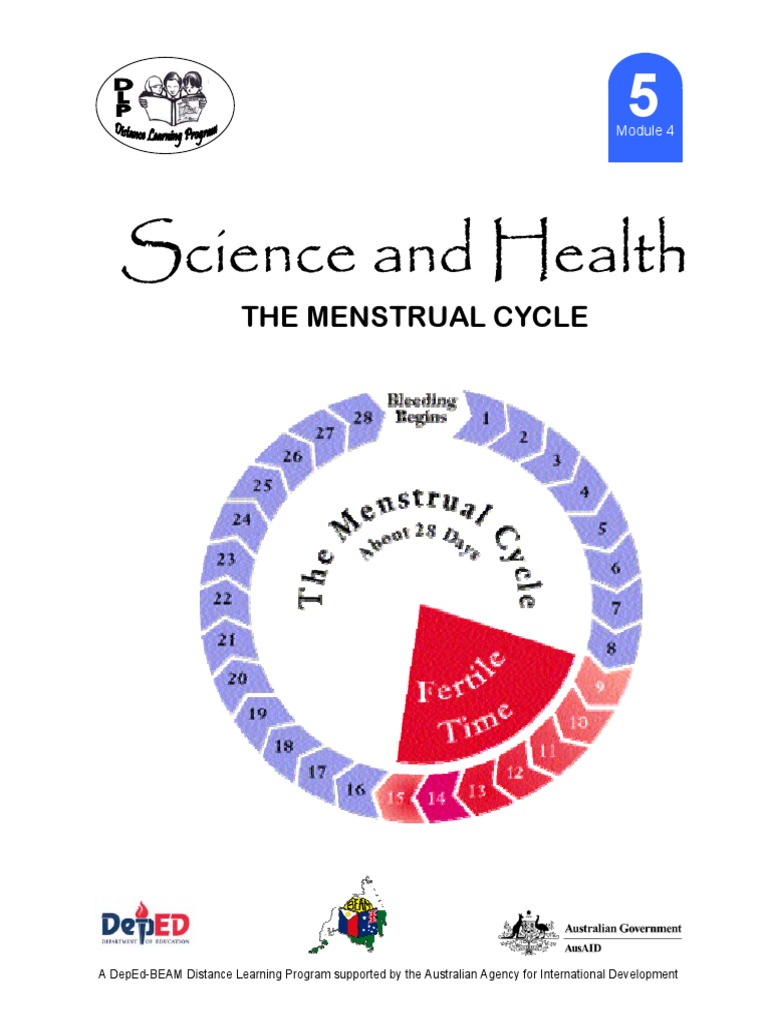 The Menstrual Cycle | PDF | Menstrual Cycle | Ovary